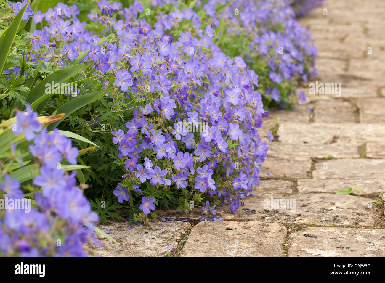 Brick edging hi-res stock photography and images - Alamy