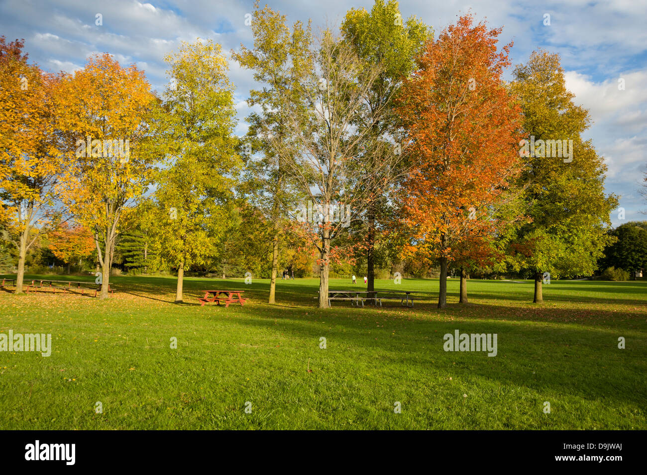 Fall Colours of Ontario, Canada Stock Photo - Alamy