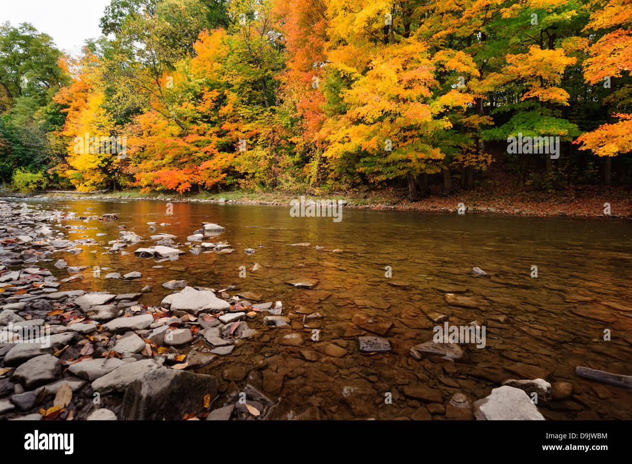 Fall Colours of Ontario, Canada Stock Photo - Alamy