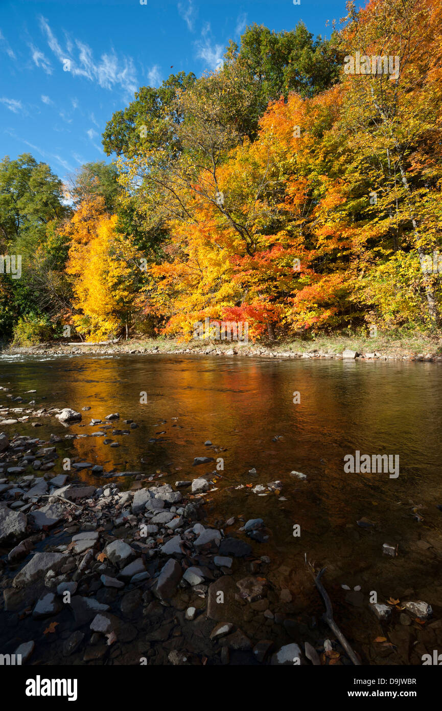 Fall Colours of Ontario, Canada Stock Photo - Alamy