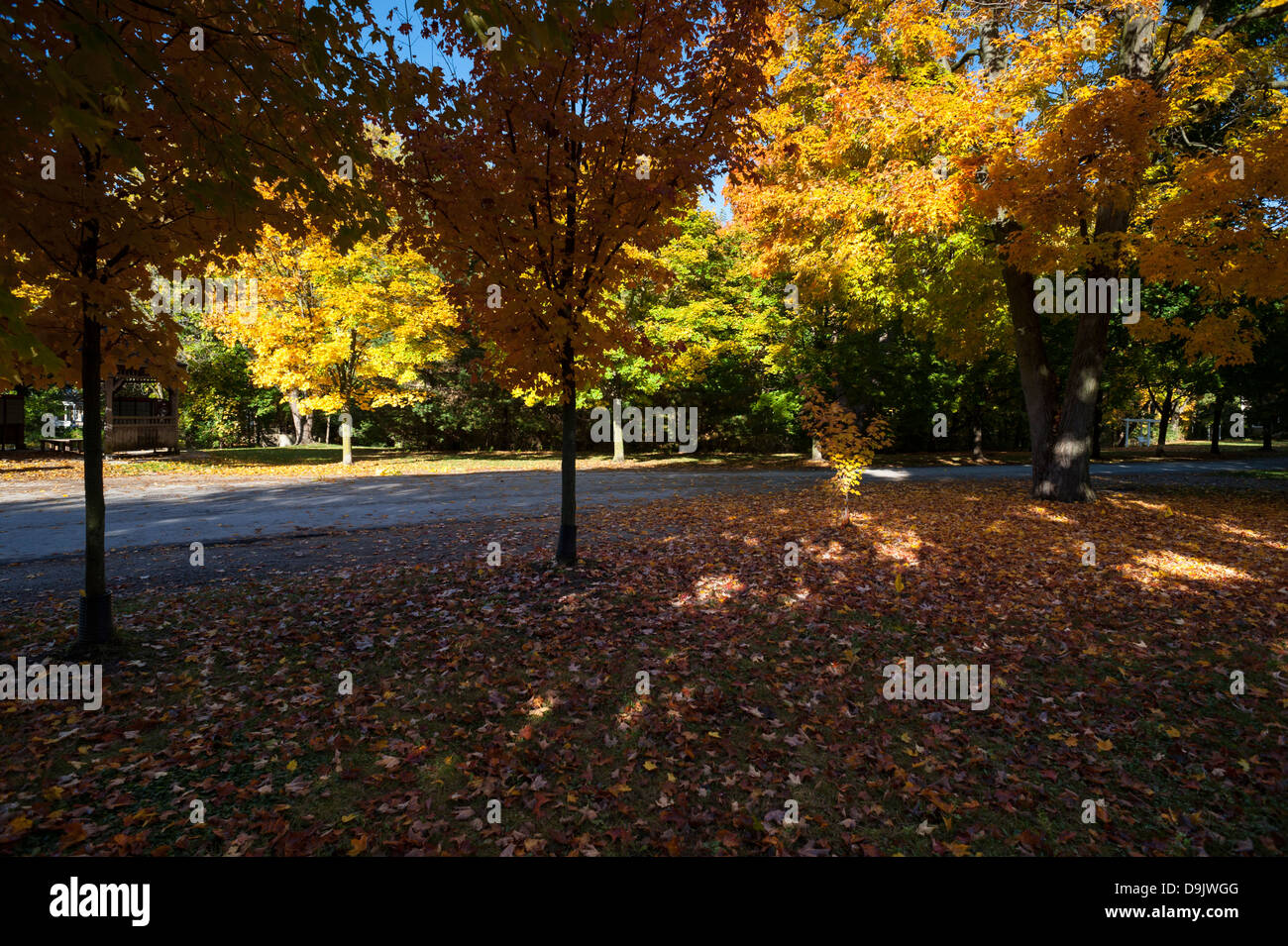 Fall Colours of Ontario, Canada Stock Photo - Alamy