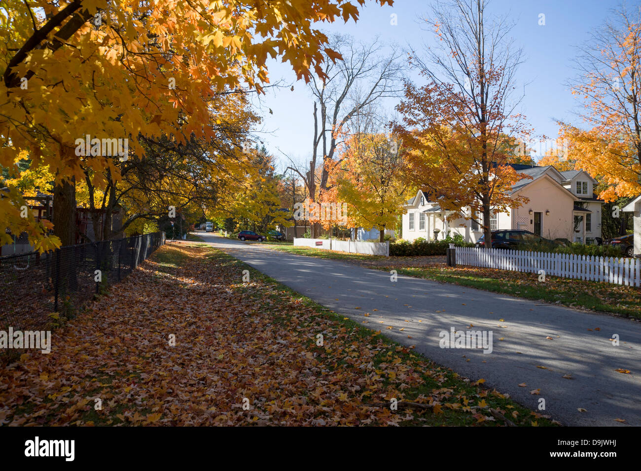 Fall Colours of Ontario, Canada Stock Photo - Alamy
