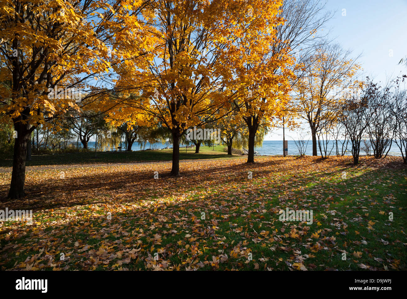 Fall Colours of Ontario, Canada Stock Photo - Alamy