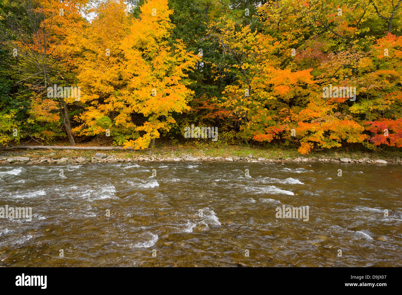 Fall Colours of Ontario, Canada Stock Photo - Alamy