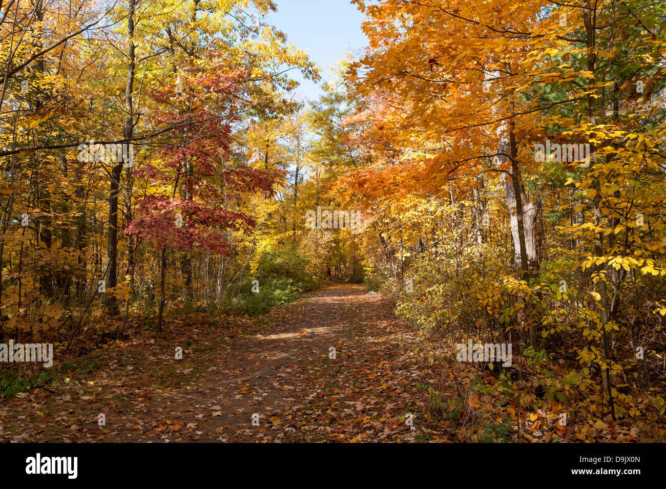 Fall Colours of Ontario, Canada Stock Photo - Alamy