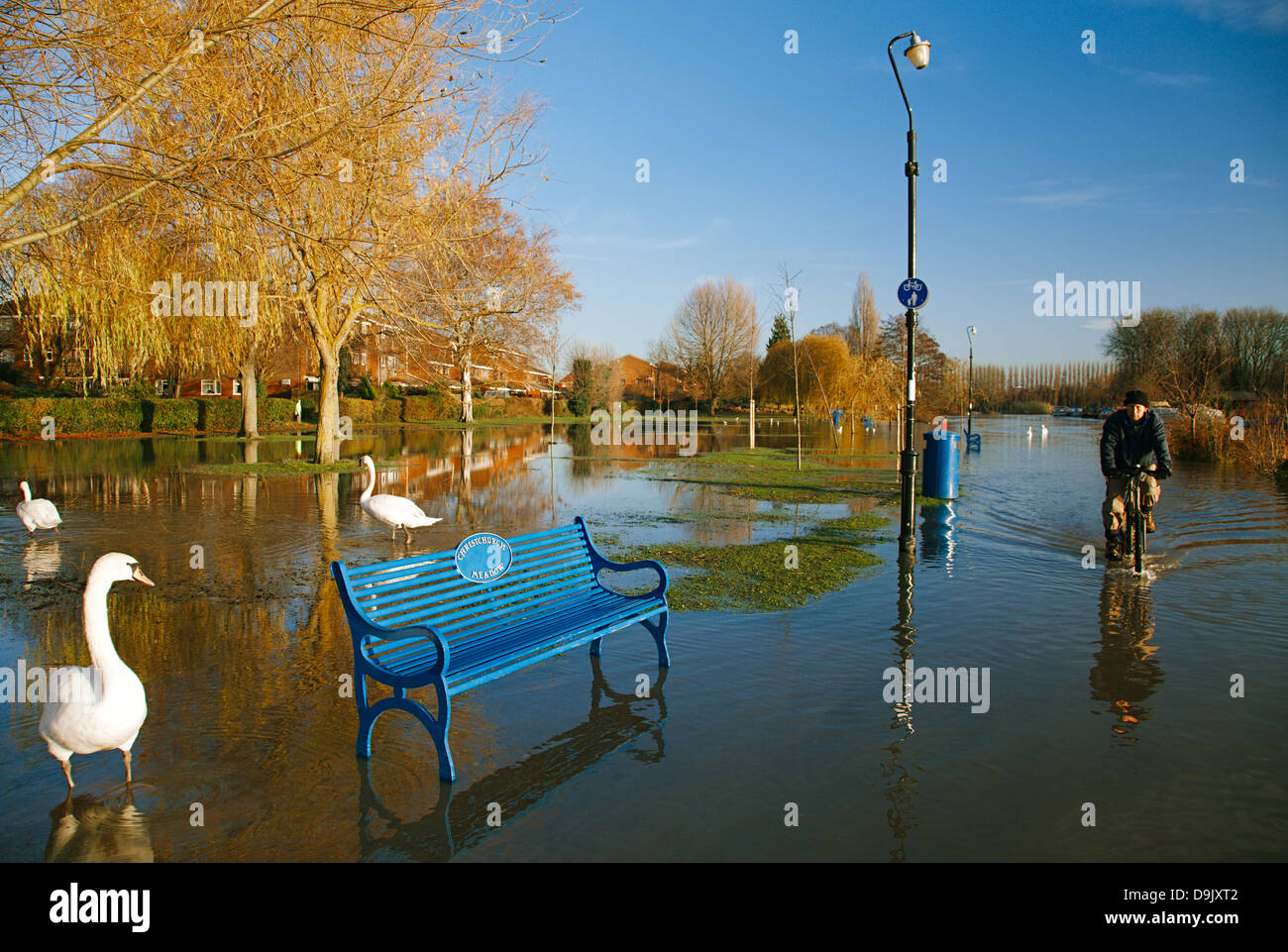 flood in UK, river Thames in Reading Stock Photo - Alamy