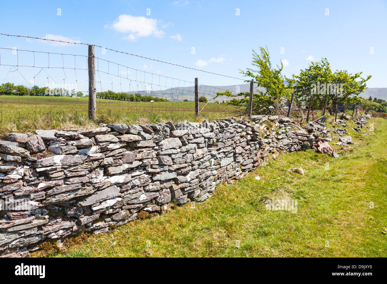 Drystone wall topped with fence with barbed wire on Mynydd Illtud ...
