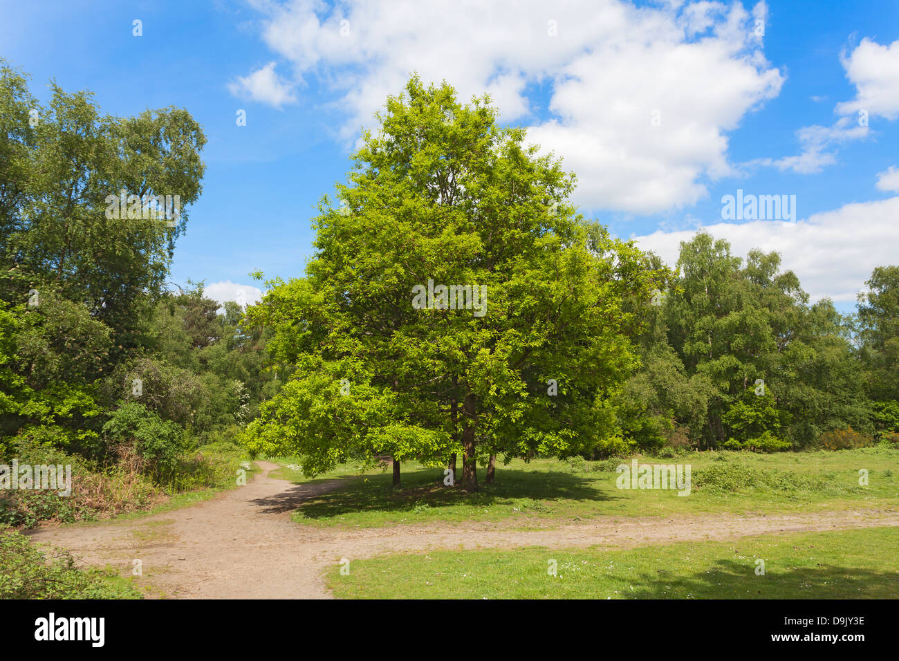 Farnham heritage trail hi-res stock photography and images - Alamy