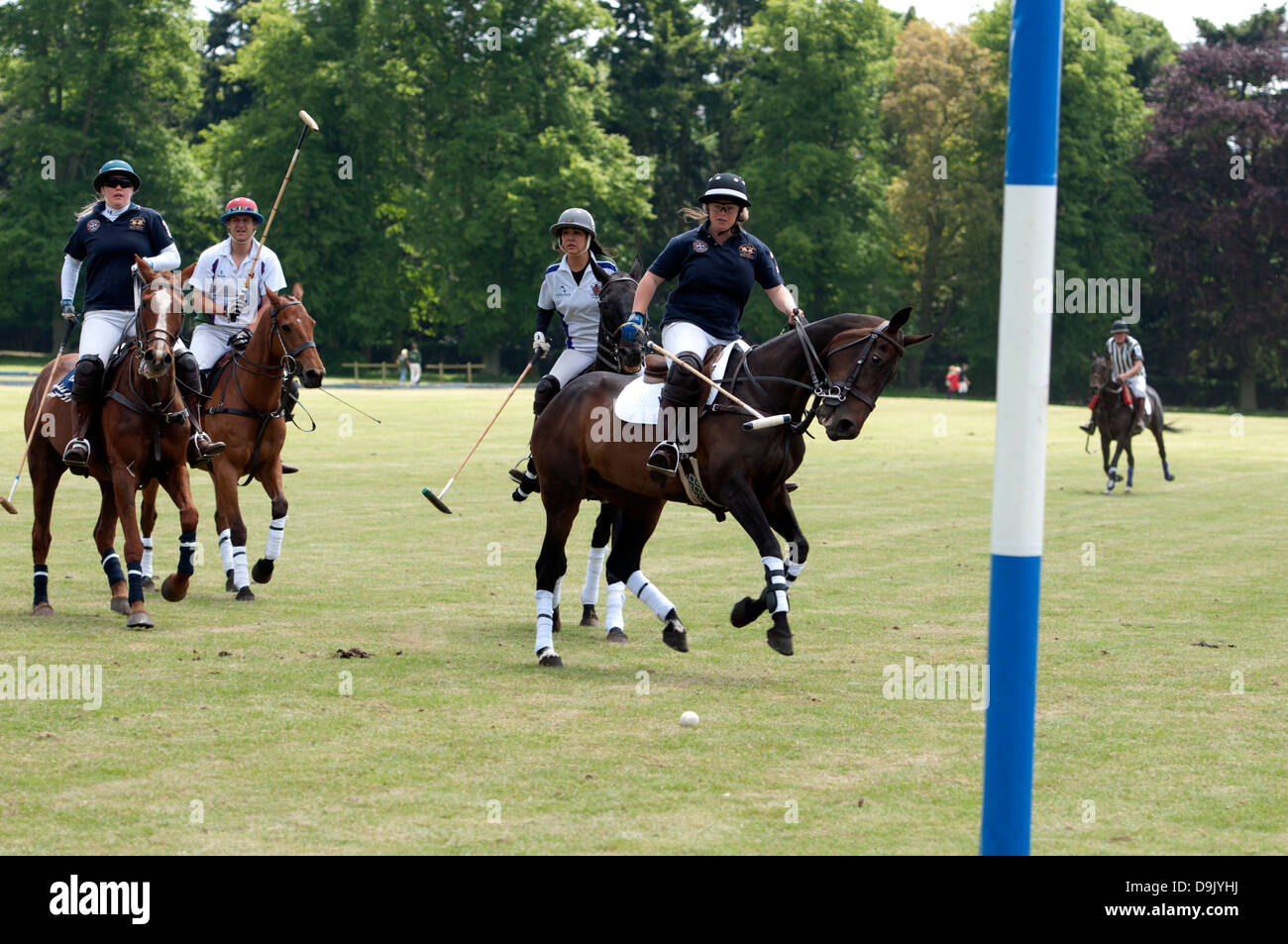 National University Polo Championships Stock Photo - Alamy