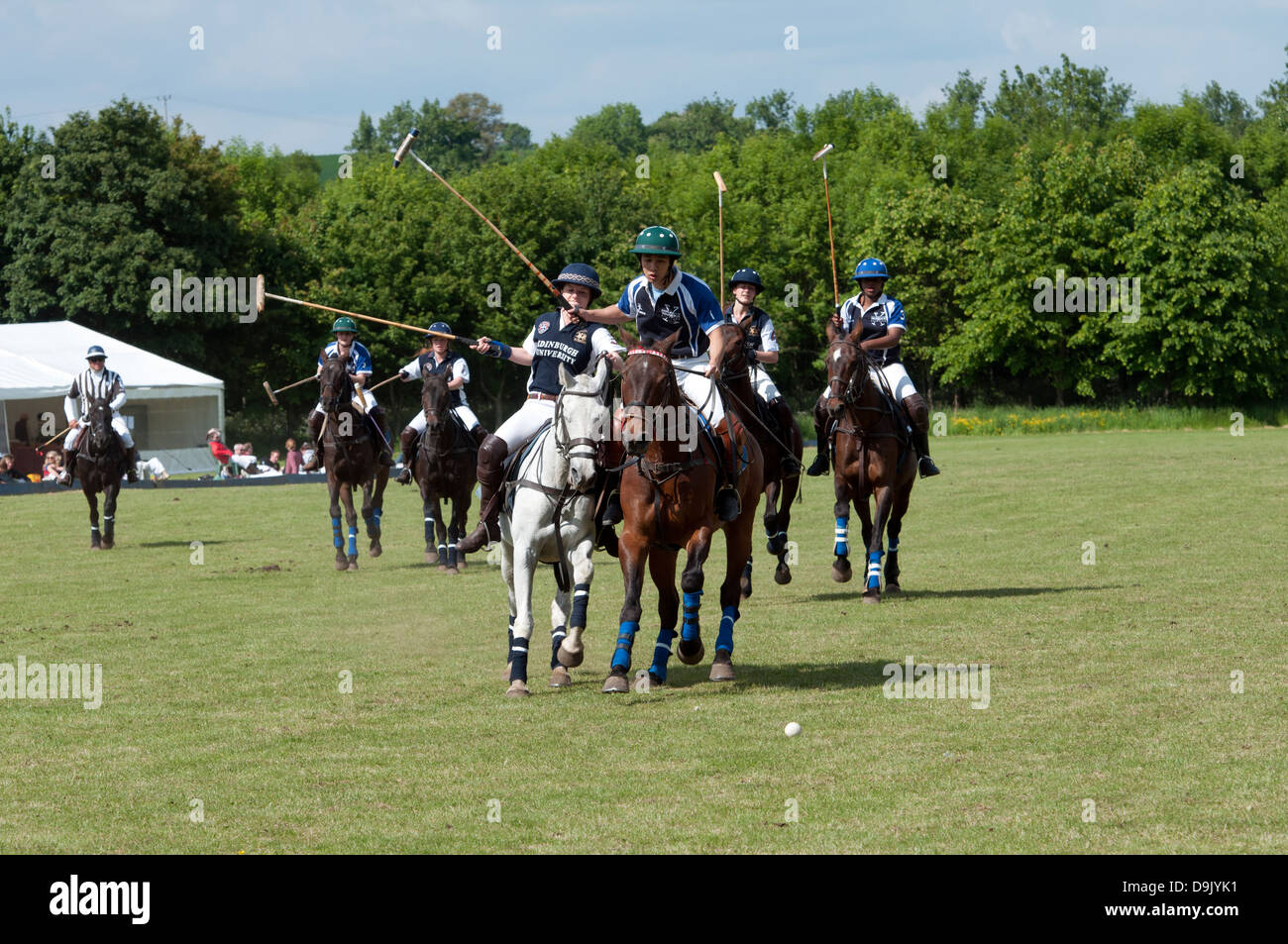 National University Polo Championships Stock Photo - Alamy