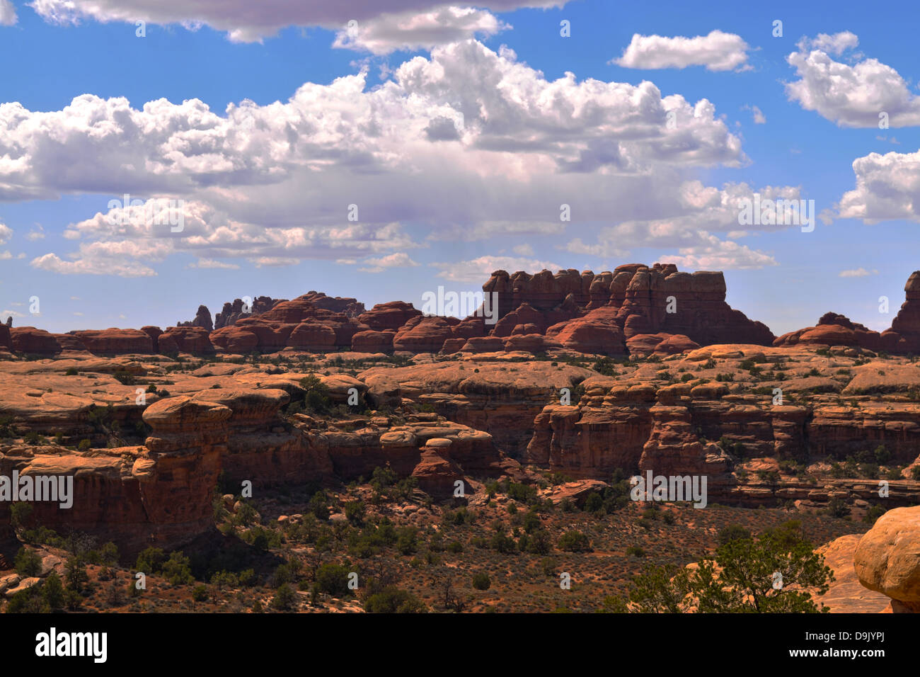 Flat needles hi-res stock photography and images - Alamy