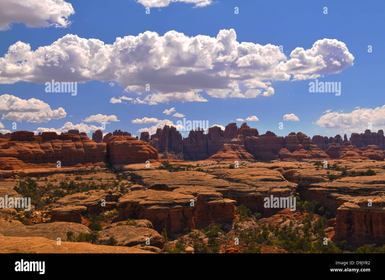 Canyonlands needles hike hi-res stock photography and images - Alamy