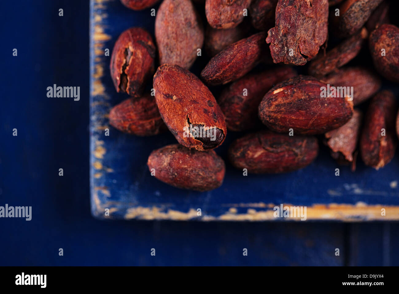 roasted cocoa chocolate beans on dark blue wood background Stock Photo ...
