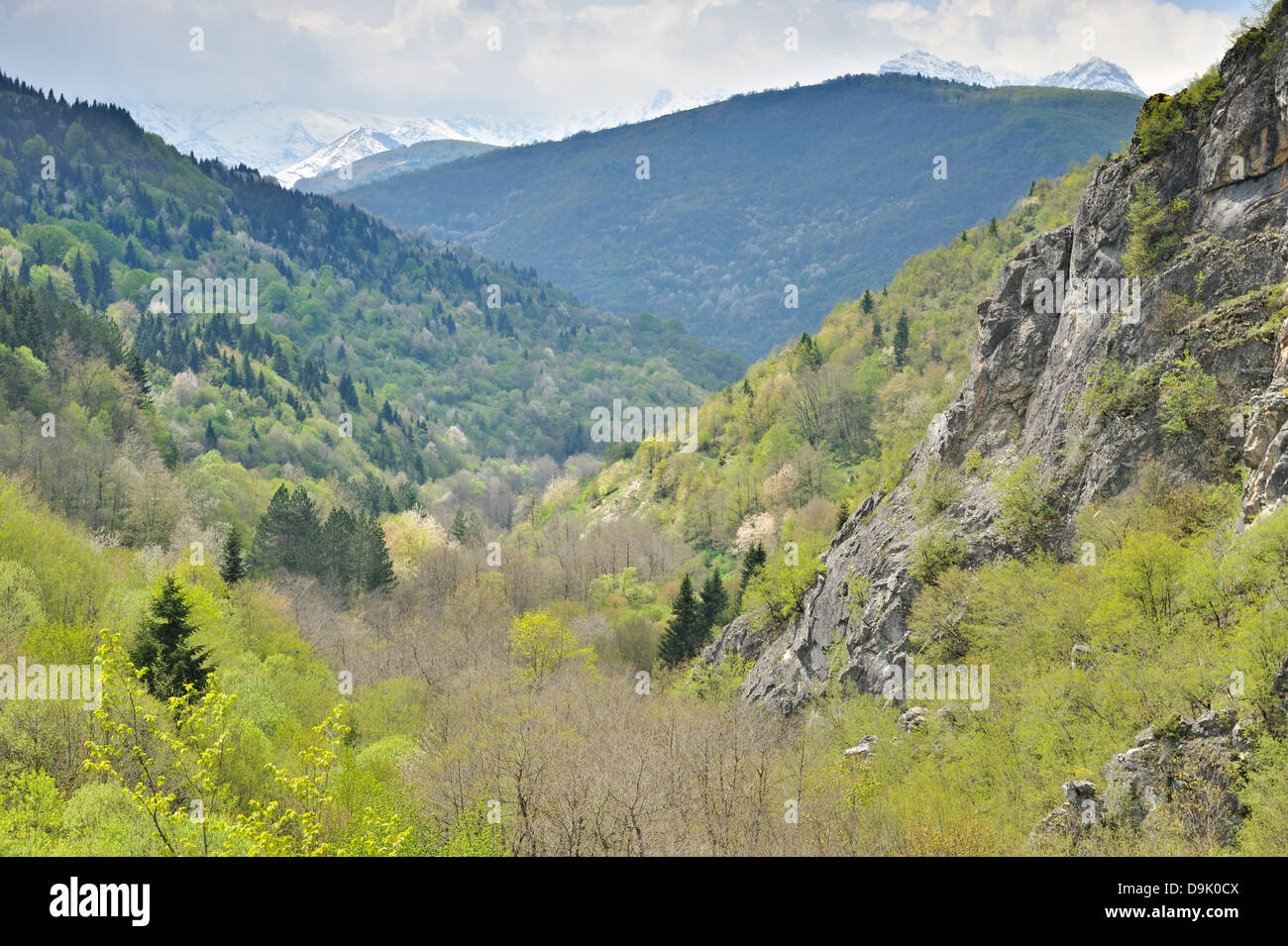 Landscape in Mavrovo National Park, Macedonia Stock Photo - Alamy