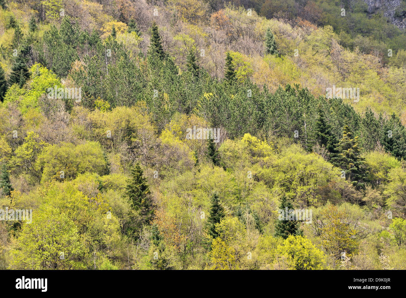 Macedonia landscapes hi-res stock photography and images - Alamy