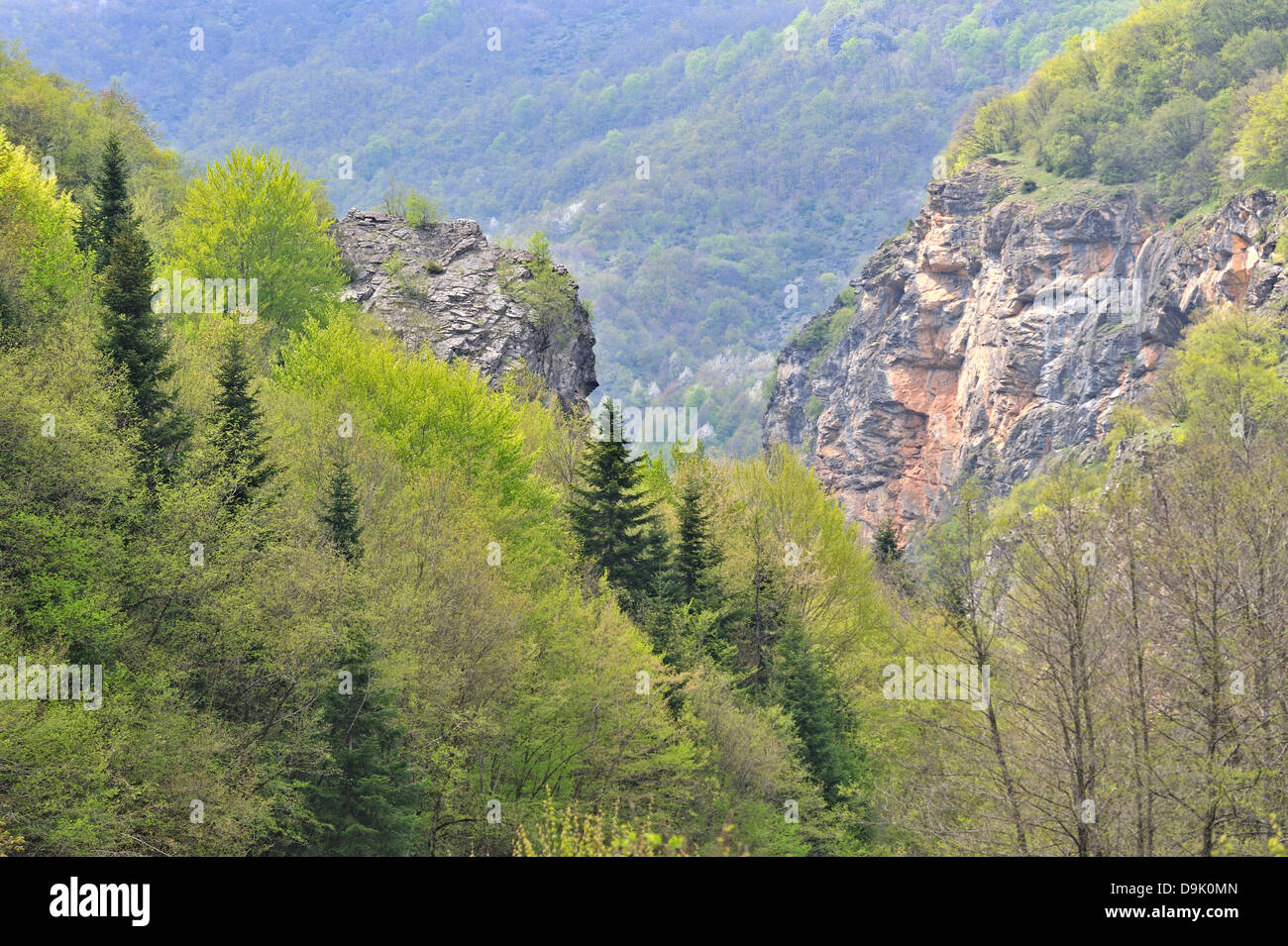 Landscape in Mavrovo National Park, Macedonia Stock Photo - Alamy