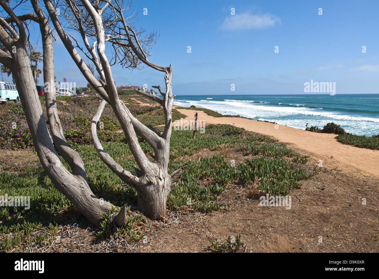 California shoreline and the surrounding vegetation Stock Photo - Alamy