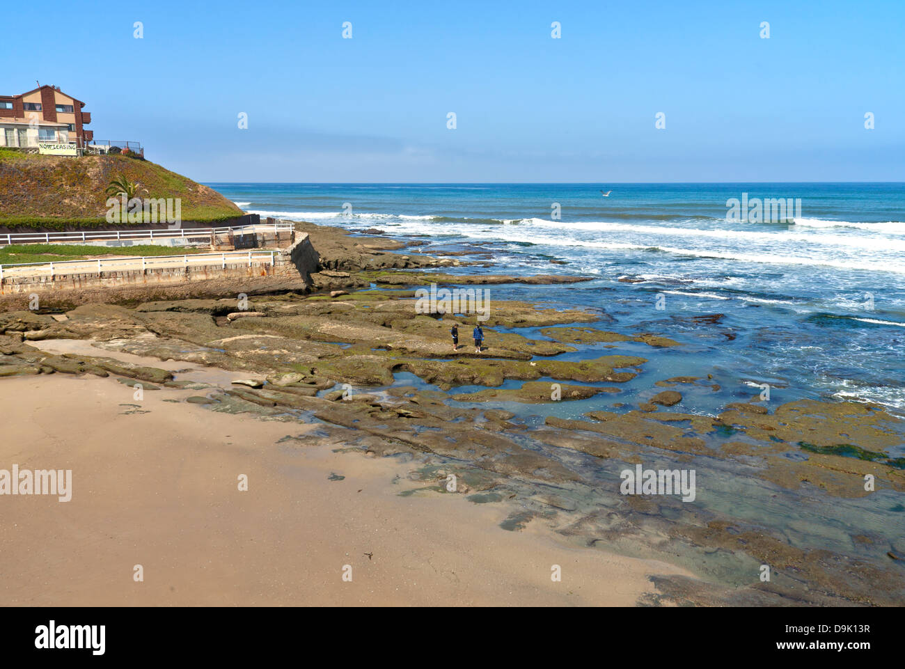 Exploring the beach in California Stock Photo - Alamy