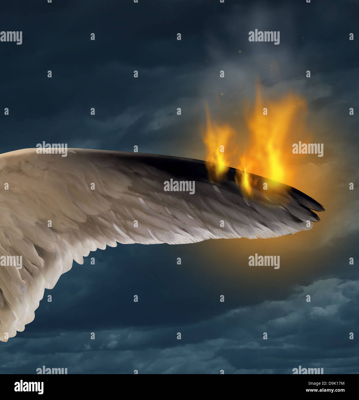 Losing feathers hi-res stock photography and images - Alamy