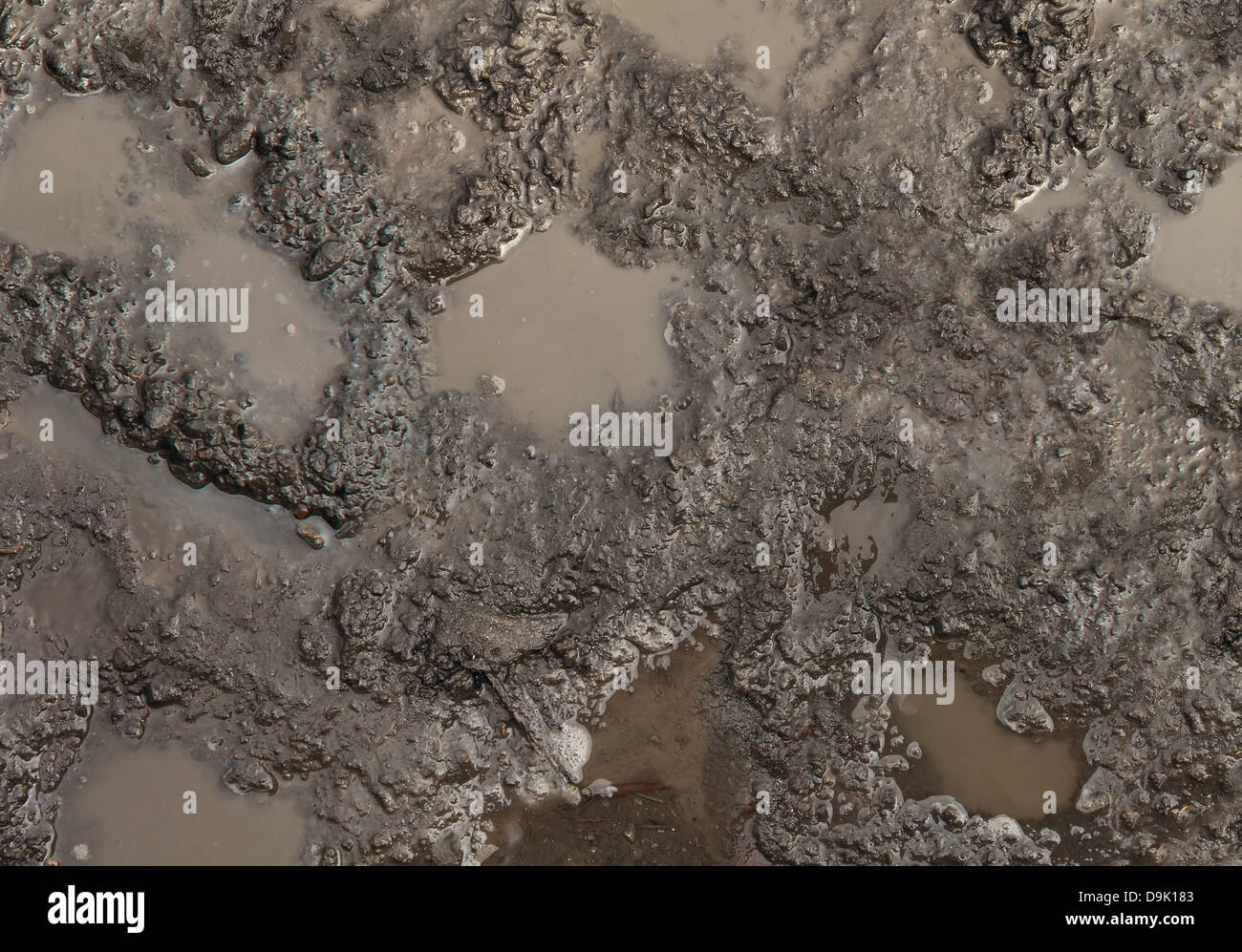 Mud texture or wet brown soil with natural organic clay and geological ...