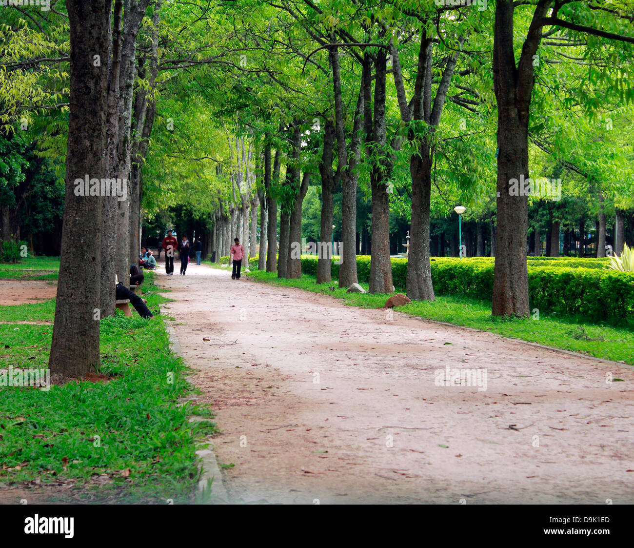 The Cubbon Park , Bangalore Stock Photo - Alamy