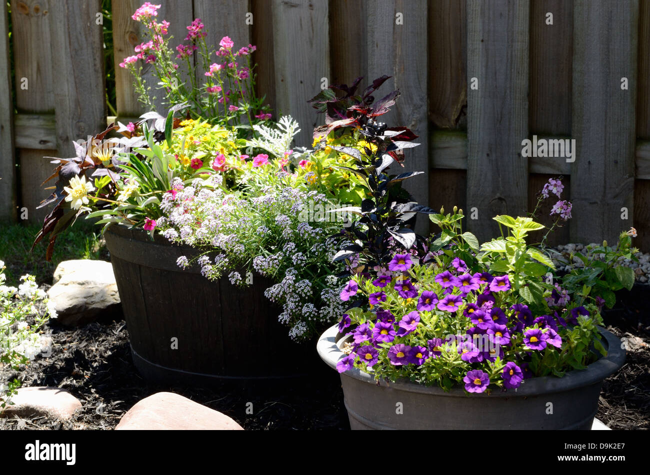 Potted flowers in outdoor garden Stock Photo - Alamy