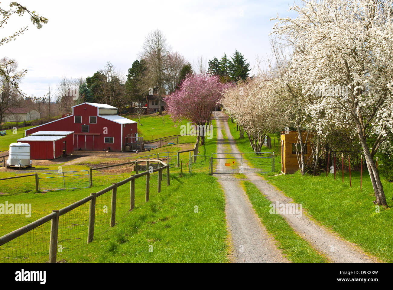 Rural blooms hi-res stock photography and images - Alamy