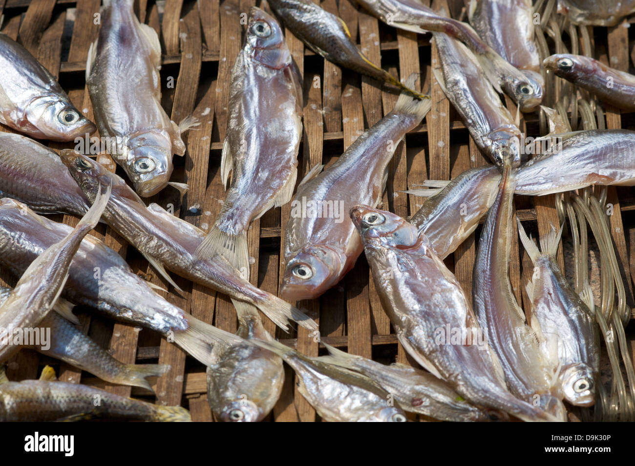 Saled hi-res stock photography and images - Alamy