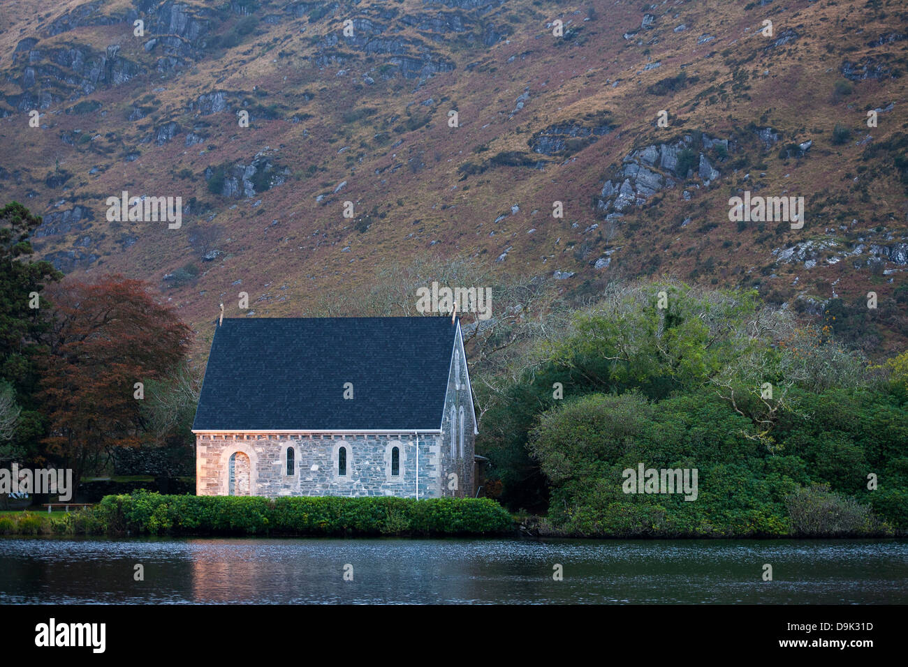 Macroom hi-res stock photography and images - Alamy