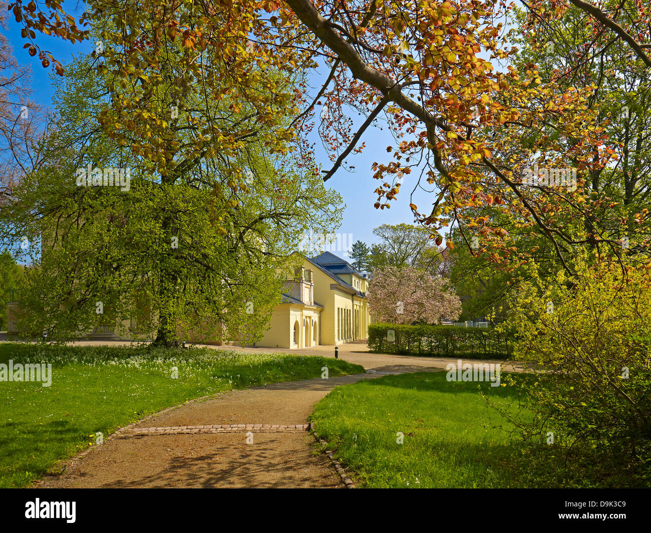 Orangery in the park at Altenburg, Thuringia, Germany Stock Photo - Alamy