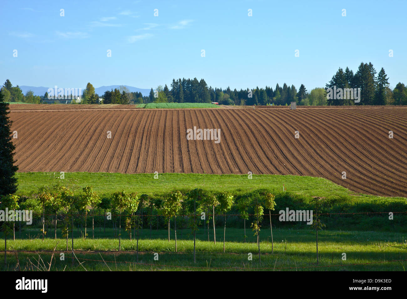 Fertile field organized and plowed Oregon Stock Photo - Alamy