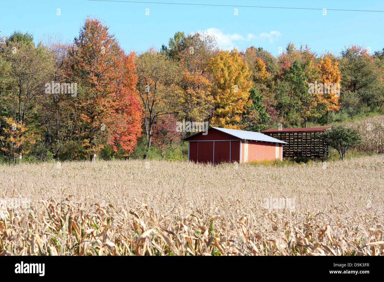 Alfalfa and corn hi-res stock photography and images - Alamy