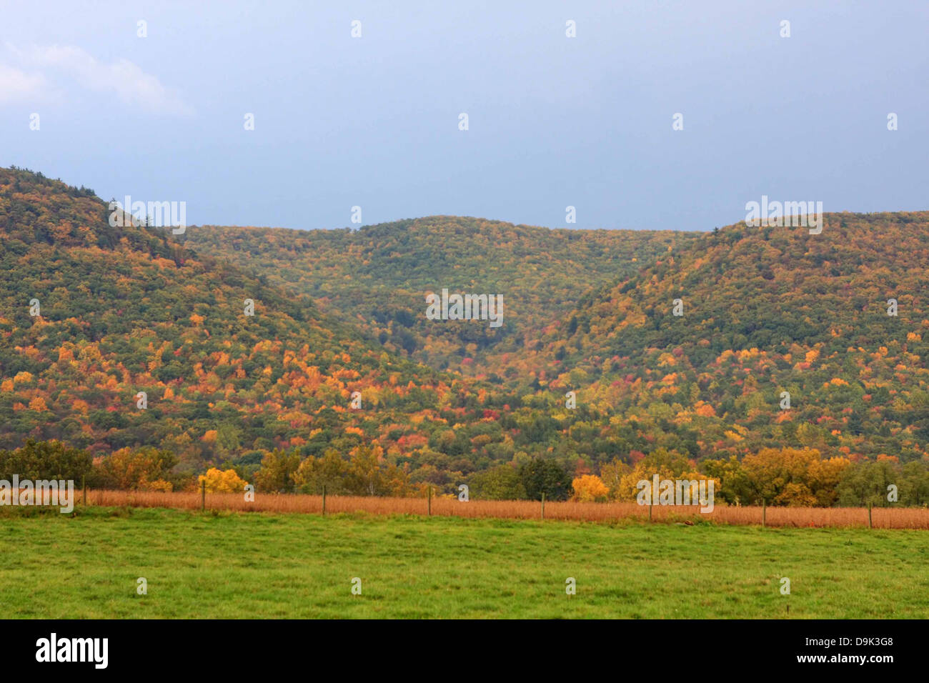 mountain hill field farm fence autumn fall foliage trees gray sky Stock ...