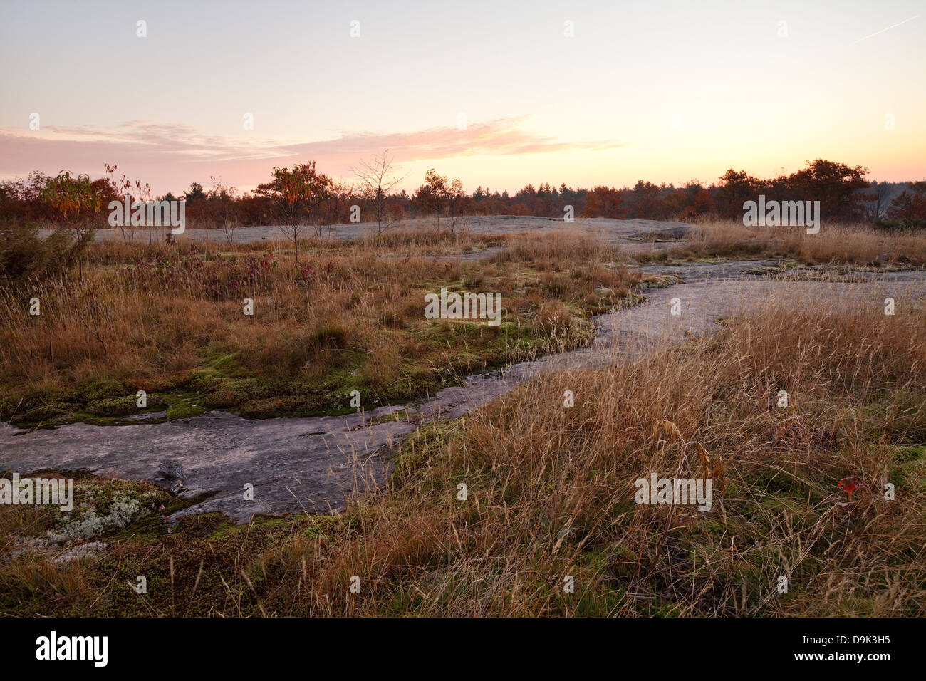 A barren landscape in Muskoka, Ontario, Canada Stock Photo - Alamy