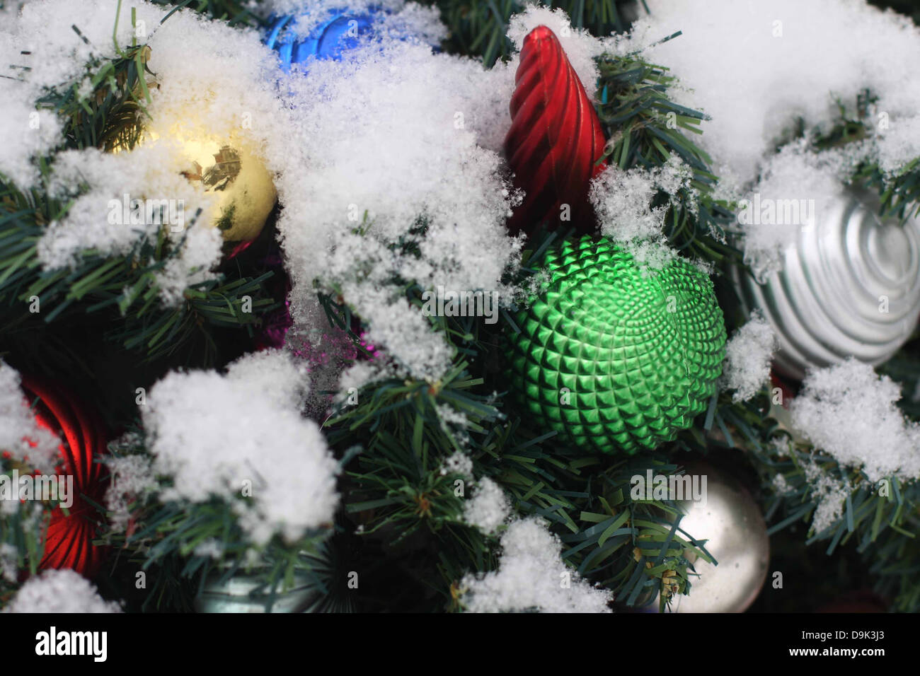 Freezing winter cold freeze frozen plant hi-res stock photography and ...