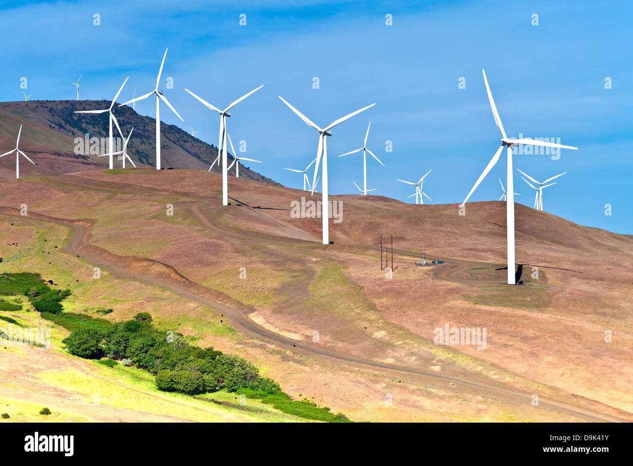 Wind turbines creating energy on a hillside in Eastern Washington Stock ...