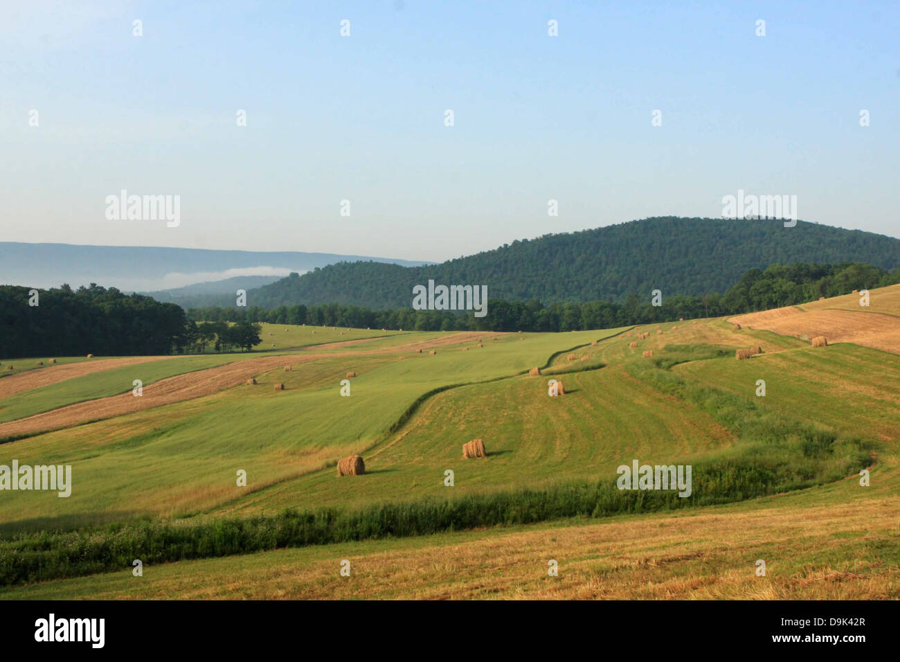 farm fields hay green round bales grow green mountain rural Stock Photo ...