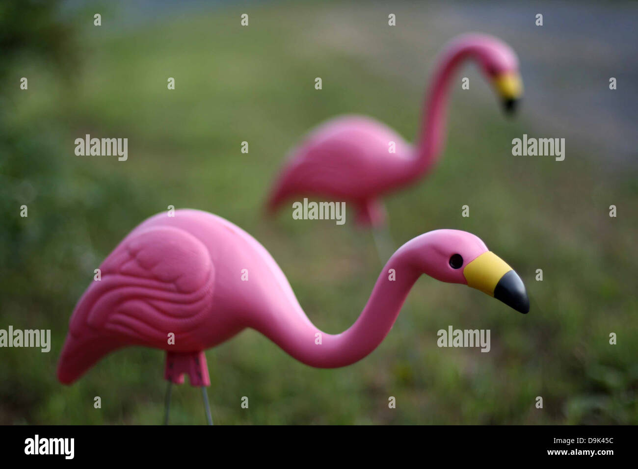 pink two flamingo flamingos beak fake plastic green yard decorations ...