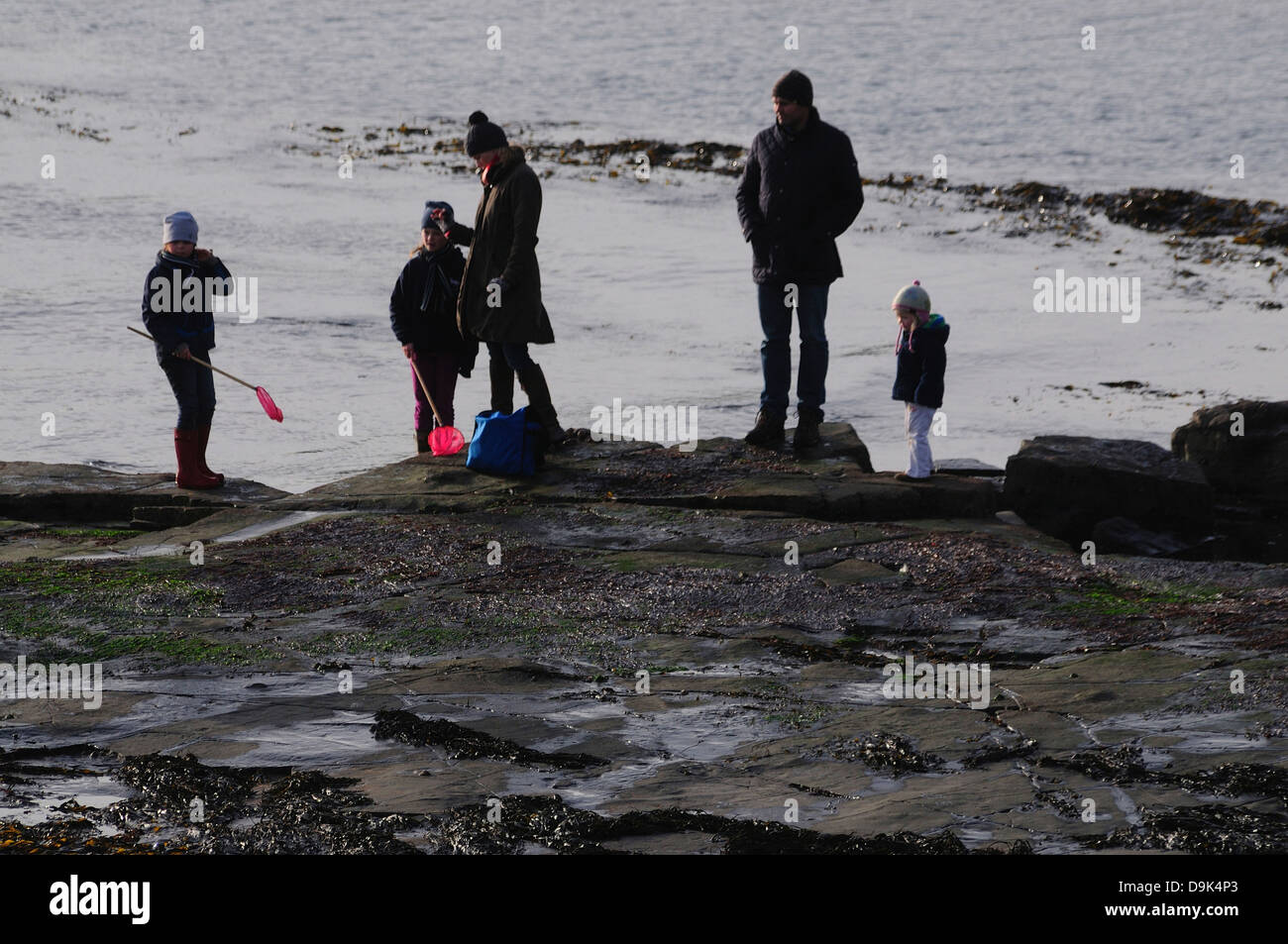 Family rockpooling hi-res stock photography and images - Alamy