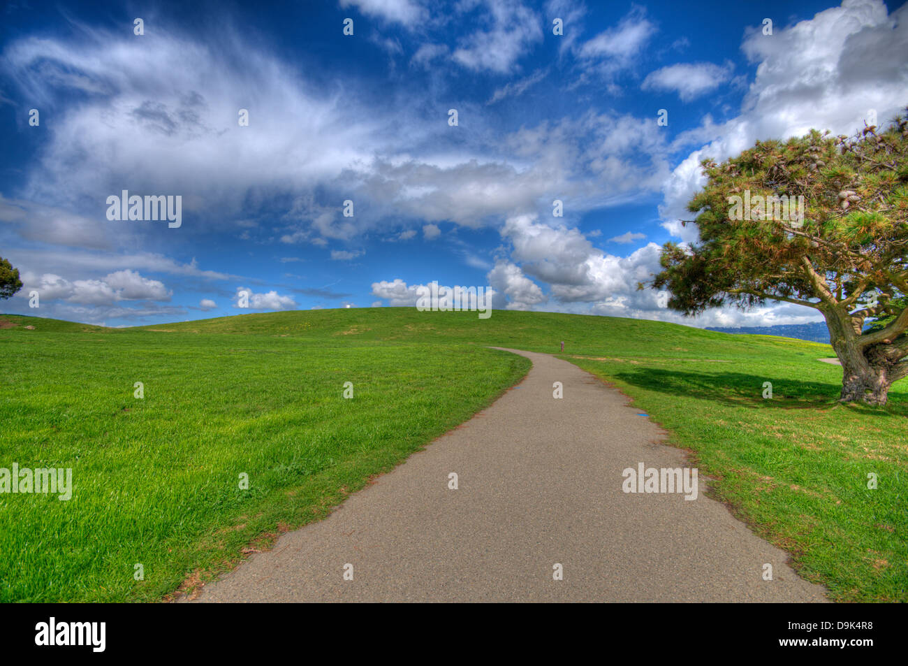 Green Grass Landscape and blue sky at Berkeley Marina in the East Bay ...