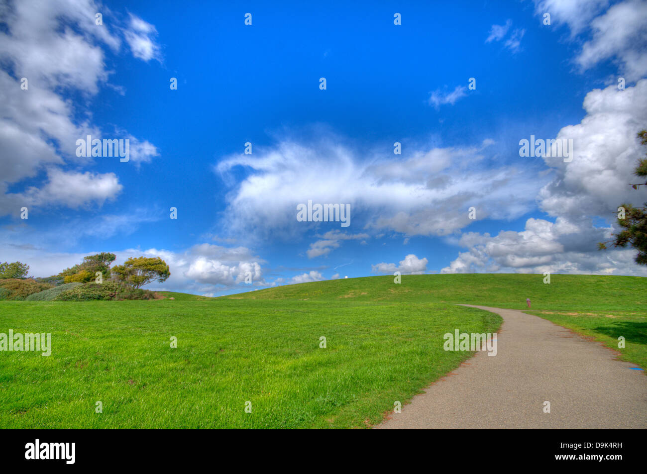 Green Grass Landscape and blue sky at Berkeley Marina in the East Bay ...