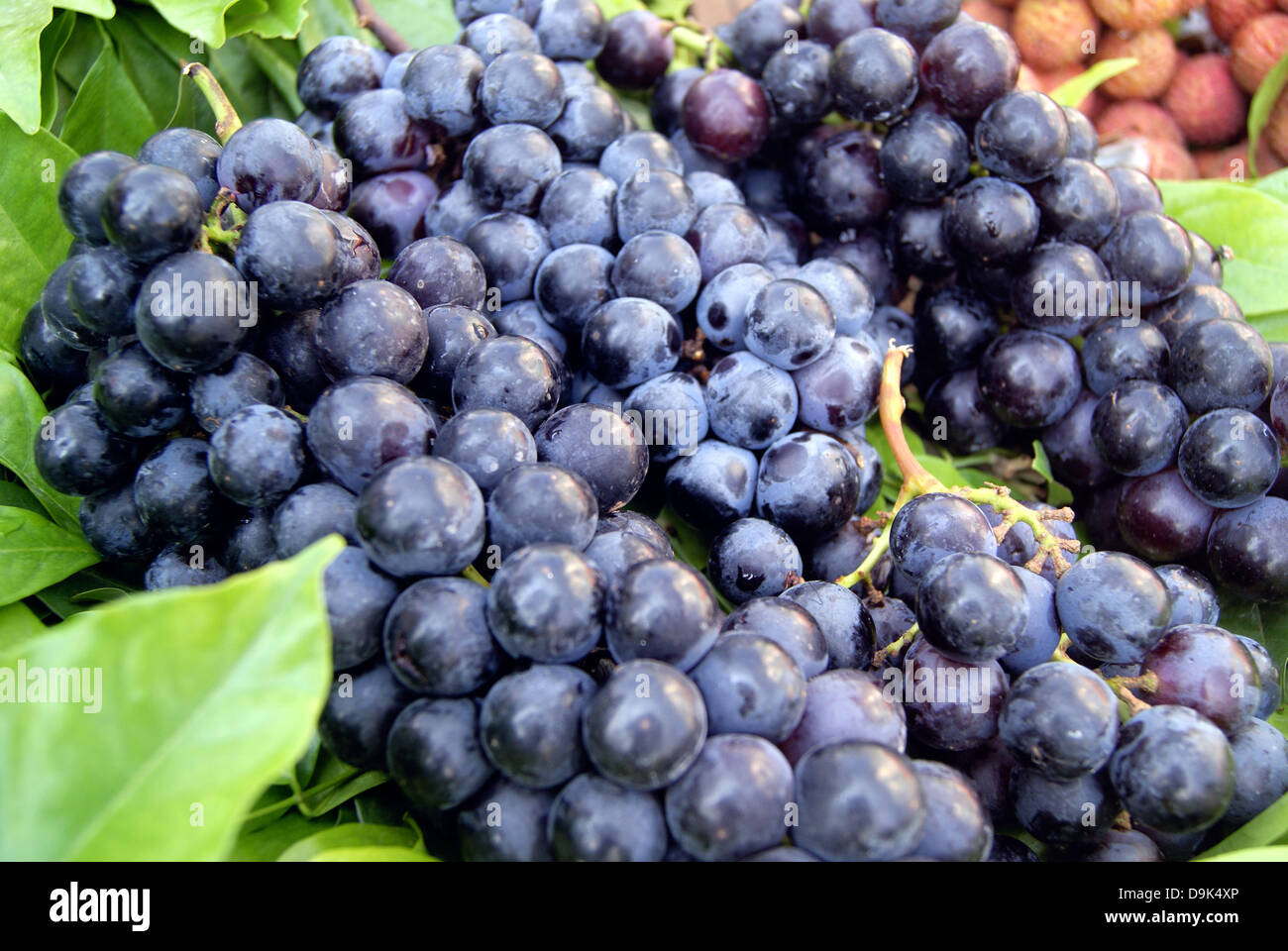 Fruit of sales hi-res stock photography and images - Alamy