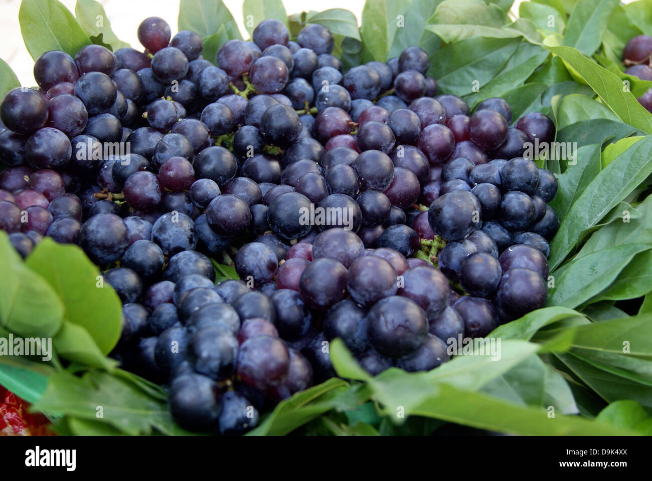 Sales in markets hi-res stock photography and images - Alamy