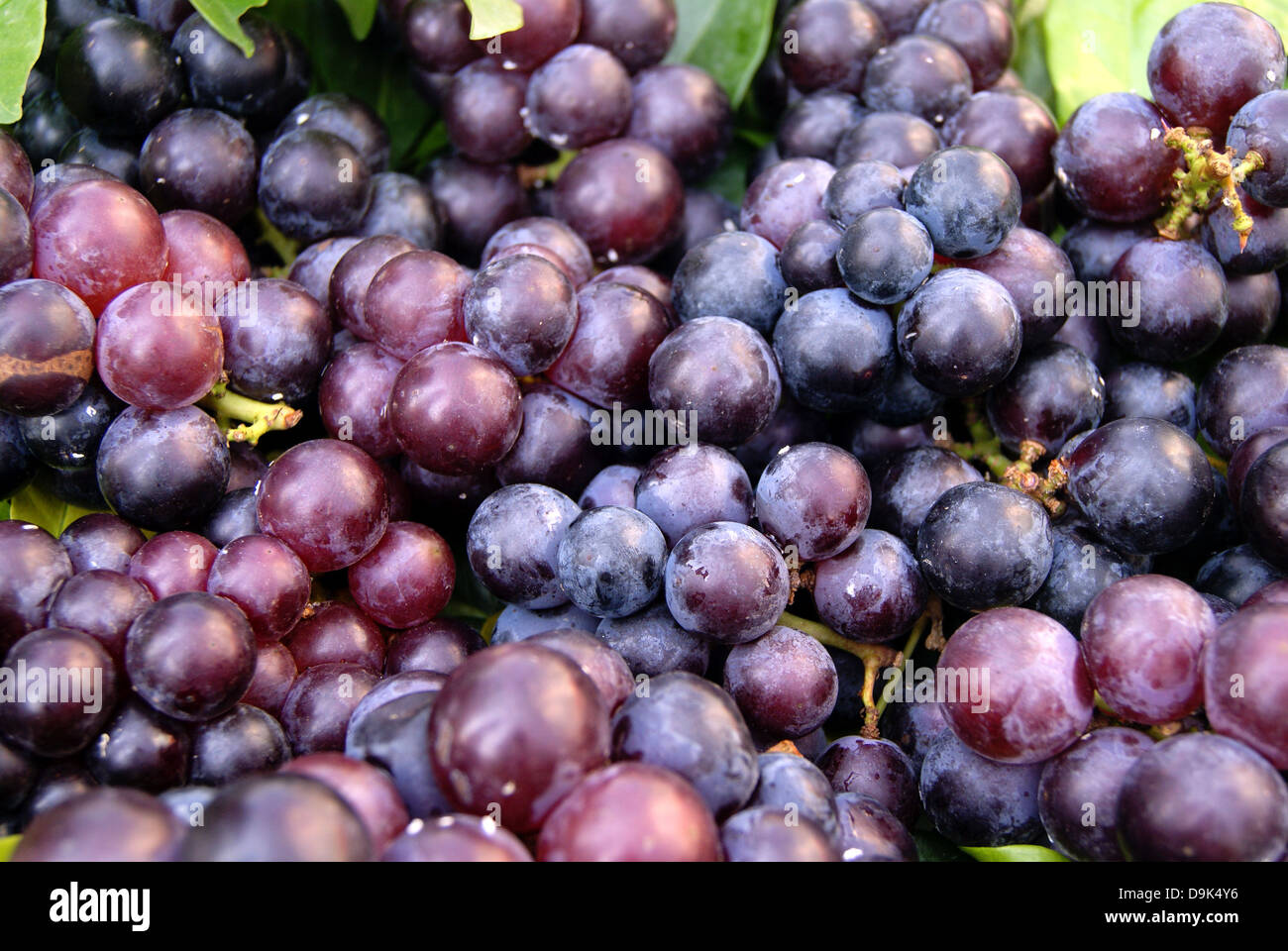Fresh grapes, sales in the fruit market Stock Photo - Alamy