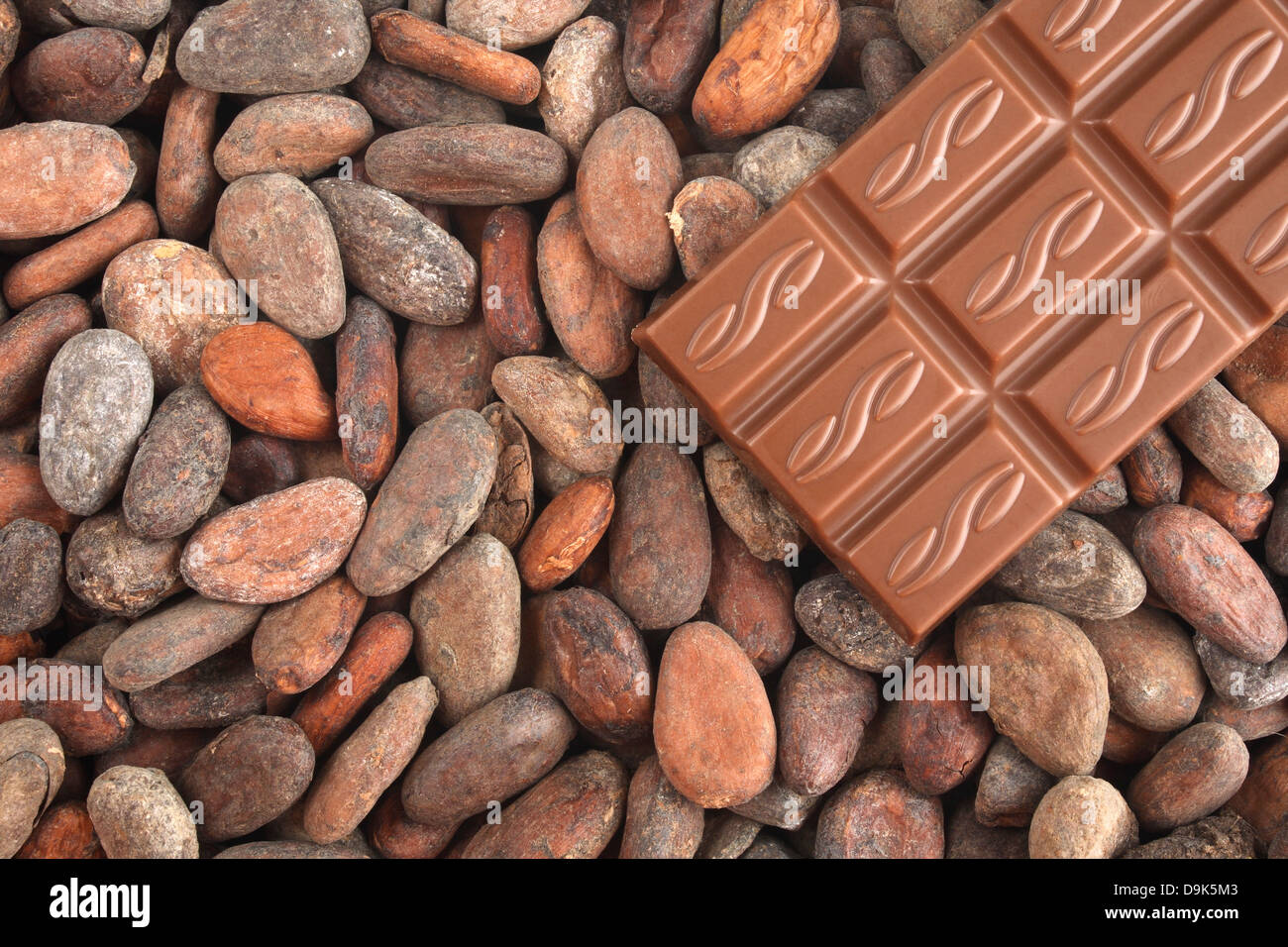 Milk chocolate with cacao beans Stock Photo - Alamy