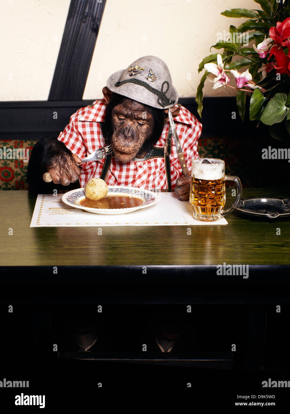 Dressed as a bavarian hi-res stock photography and images - Alamy