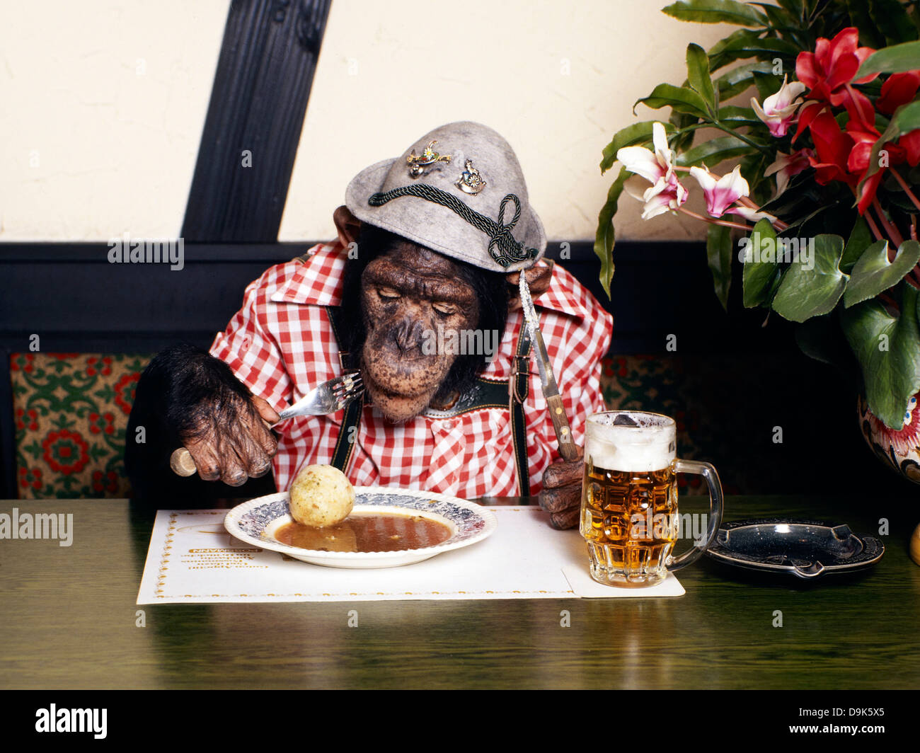 Dressed as a bavarian hi-res stock photography and images - Alamy