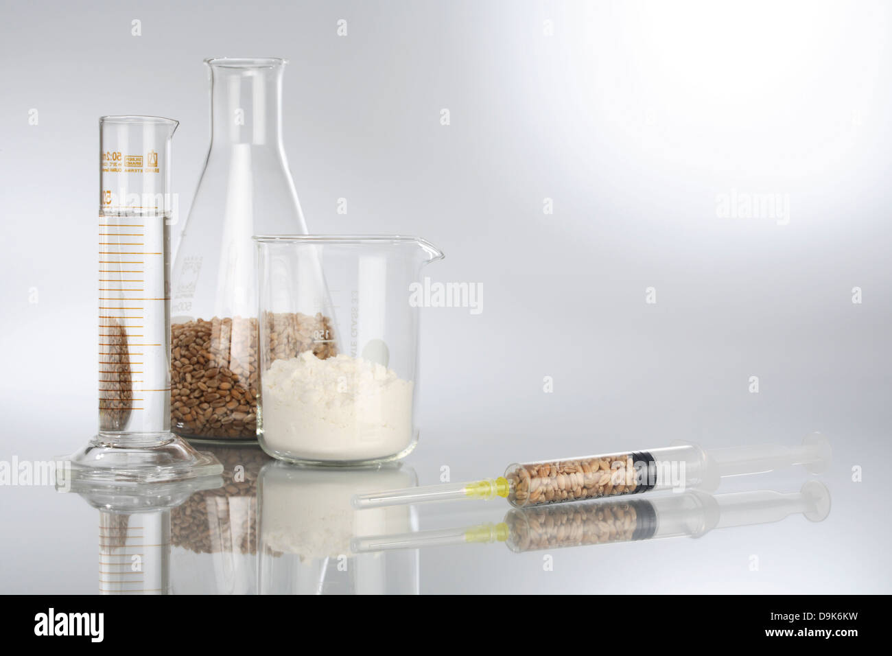 Wheat from the lab Stock Photo - Alamy