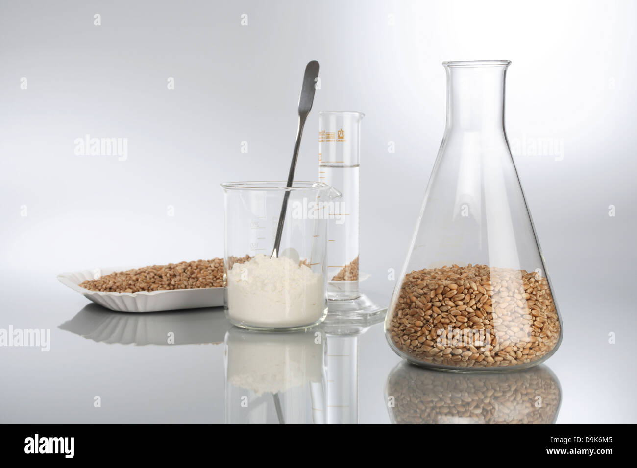 Wheat and flour in the laboratory Stock Photo - Alamy