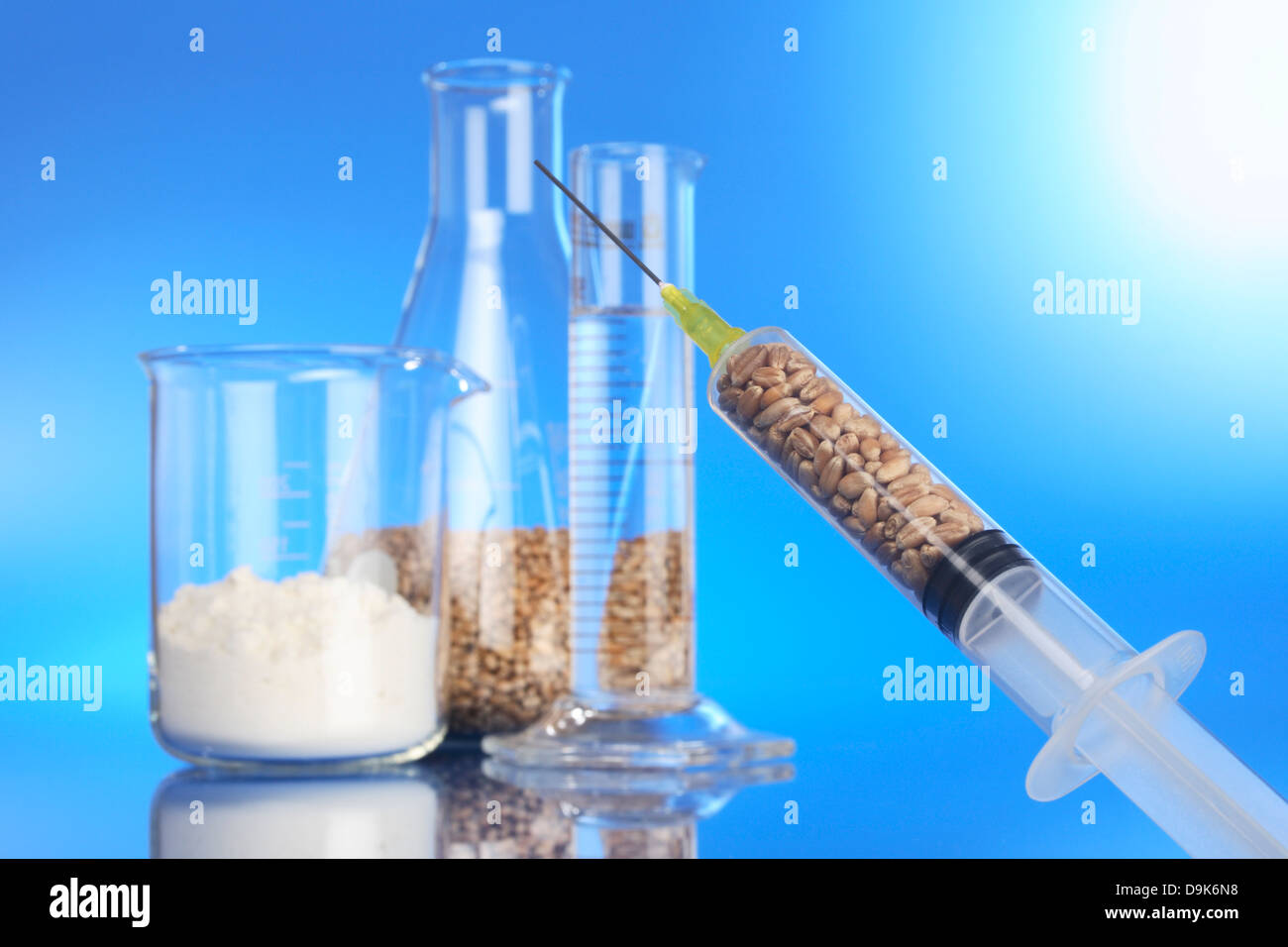 Wheat from the lab Stock Photo - Alamy